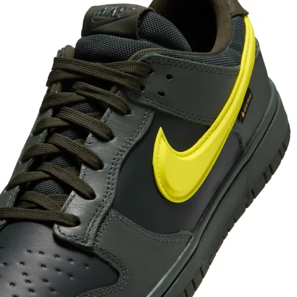 Nike Dunk Low Gore-tex Shoes - Green