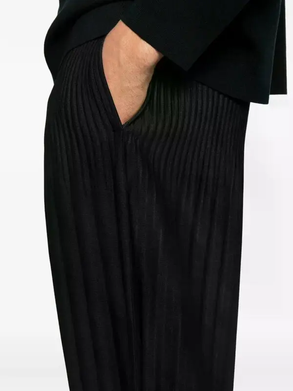 Issey Miyake Pleated Trousers