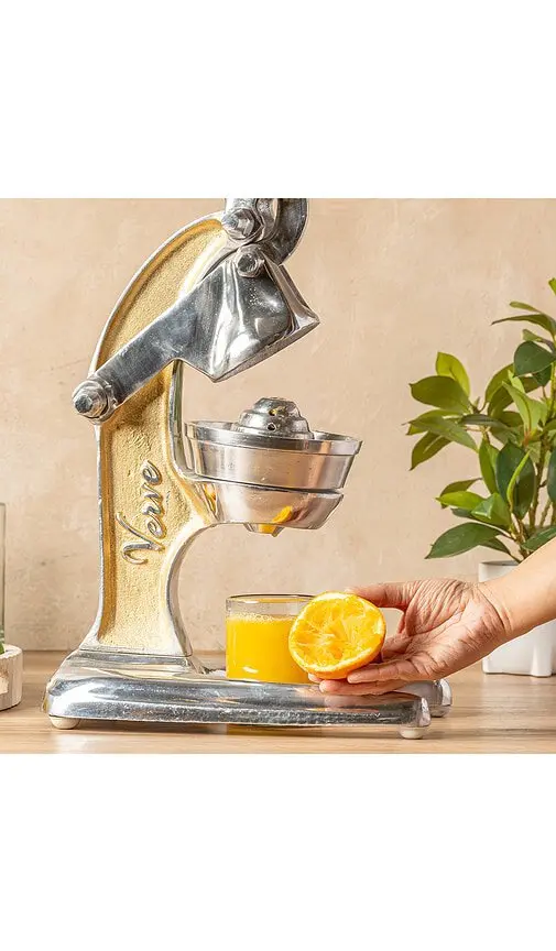 VERVE CULTURE Large Juicer In Metallic Silver