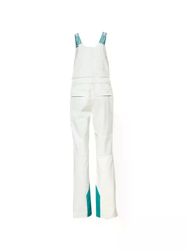 Oakley Tc Dharma Ski Suit