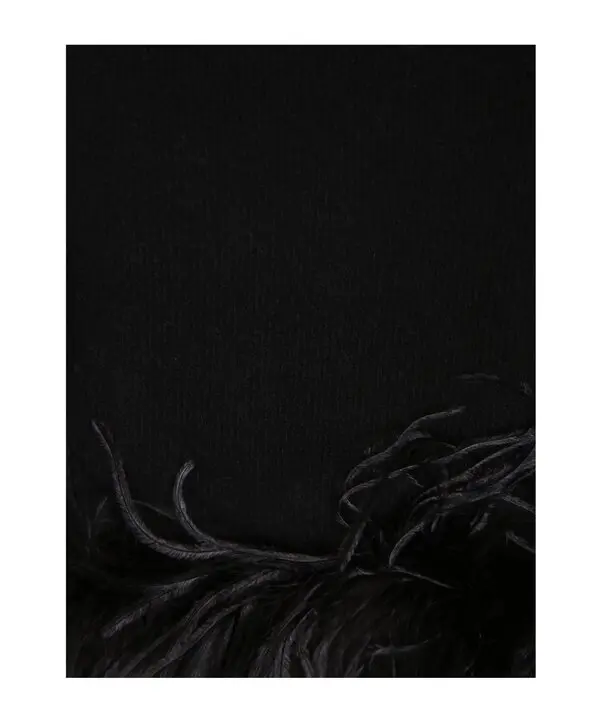 P.a.r.o.s.h Feather-trim Crew Neck Knitted Sweater