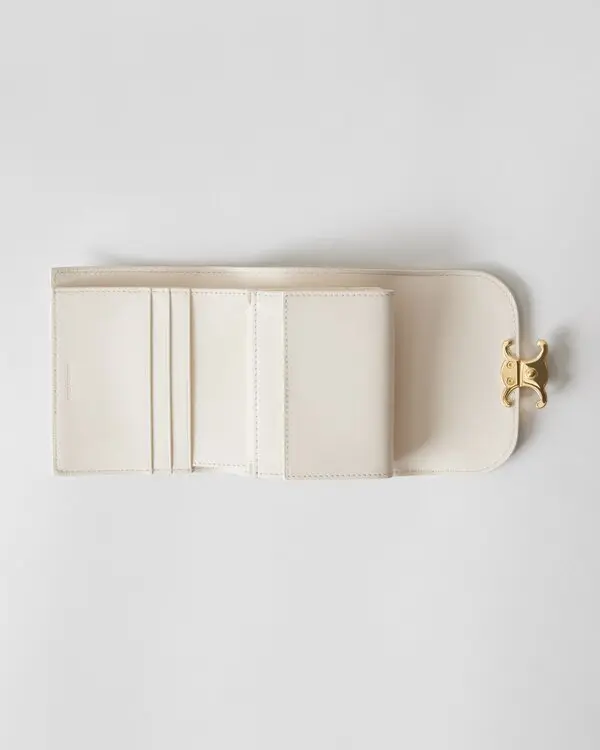 Celine Small Flap Wallet Triomphe In Shiny Calfskin And Enamel