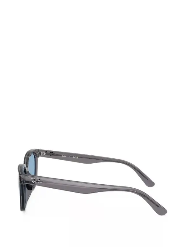 Ray-ban Square-frame Sunglasses