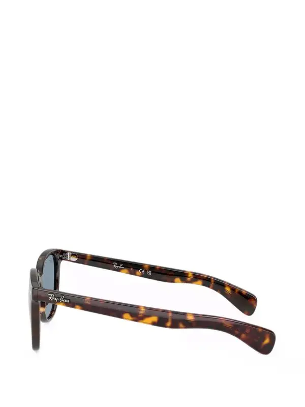 Ray-ban Brunel Ii Square-frame Sunglasses - Brown