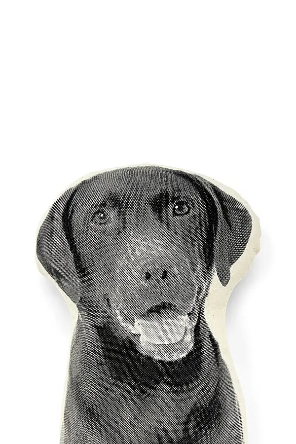BRODERPRESS Labrador Retriever Pillow