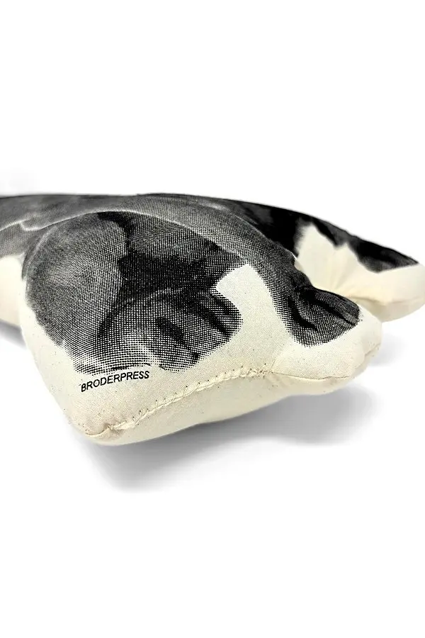 BRODERPRESS Labrador Retriever Pillow