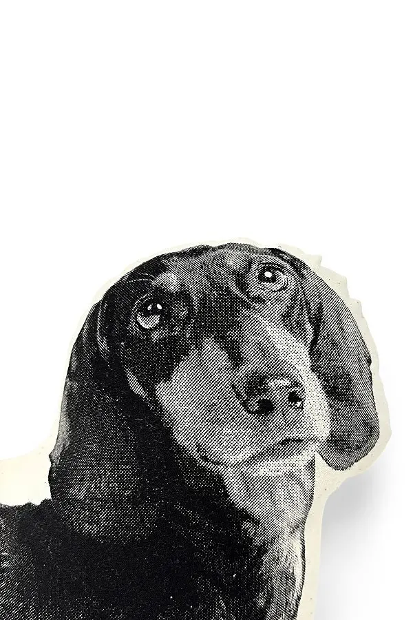 BRODERPRESS Dachshund Pillow