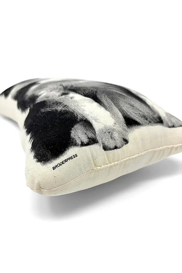 BRODERPRESS Border Collie Pillow