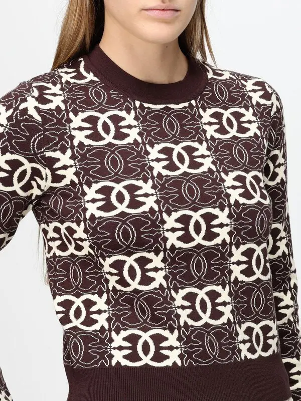 Pinko Sweater - Brown