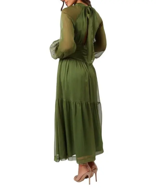PETAL AND PUP Julip Sheer Long Sleeve Maxi Dress
