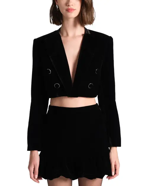 Bcbgmaxazria Antone Skirt