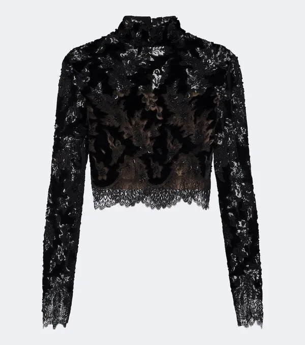 Costarellos Isaline Embellished Velvet And Lace Crop Top