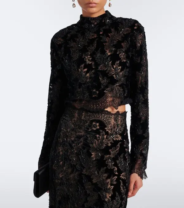 Costarellos Isaline Embellished Velvet And Lace Crop Top