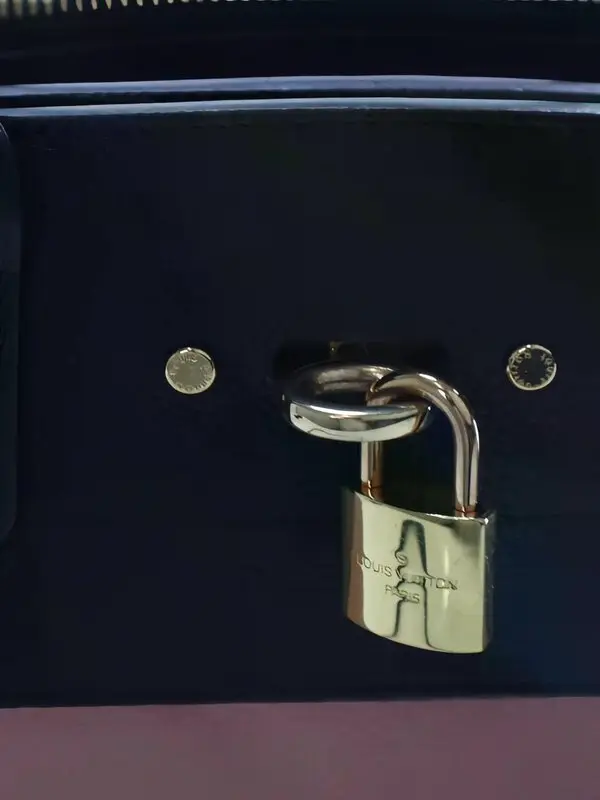 LOUIS VUITTON 2016 Bicolor Leather City Steamer Mm Satchel