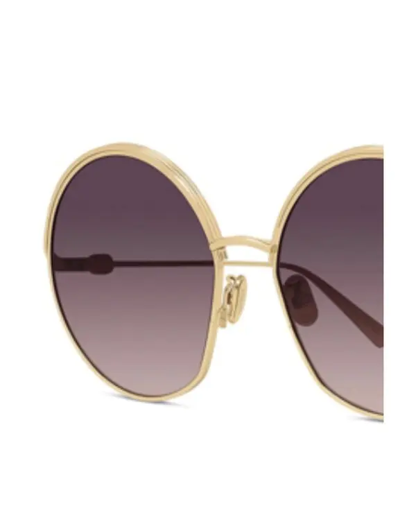 Dior Everdior Oversized Round-frame Sunglasses