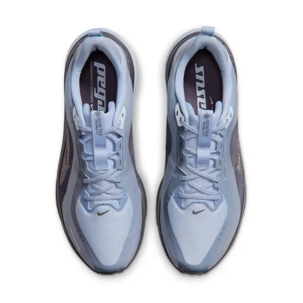 Nike Pegasus 42 Gore-tex Waterproof Road Running Shoes
