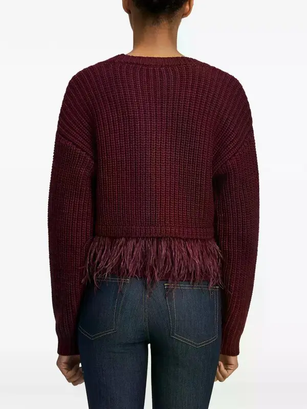 Cinq À Sept Krissi Feather-trim Crystal-button Cardigan