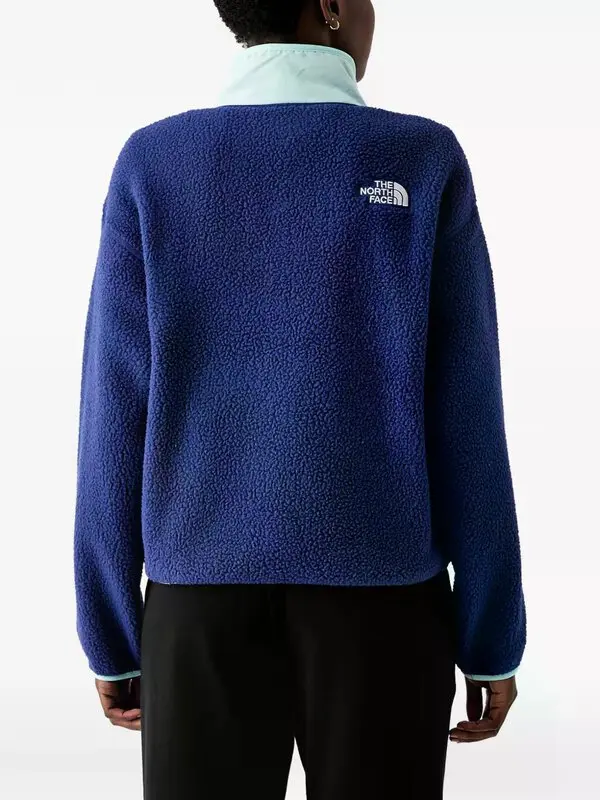 The North Face Cragmont 1/2 Snap Fleece Jacket