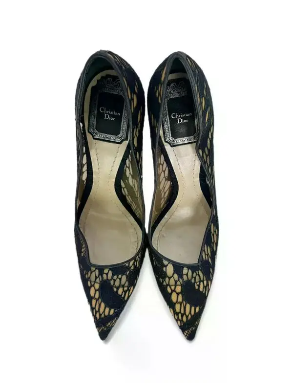 Dior Lace Mesh Pointed-toe Pumps