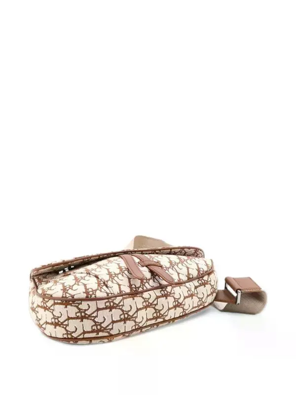 Dior Saddle Cactus Jack Oblique Canvas Crossbody Bag