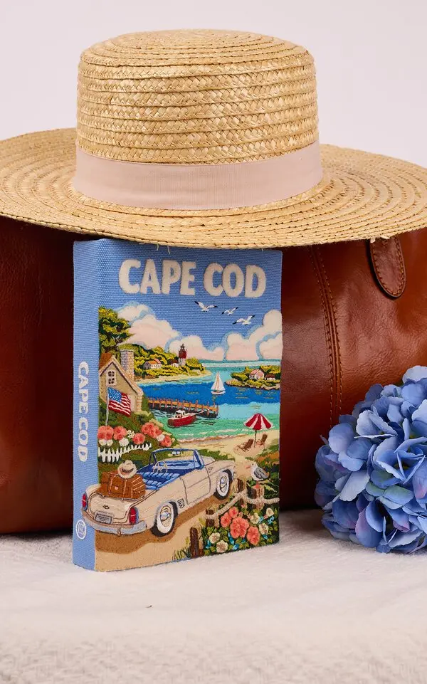 OLYMPIA LE-TAN Cape Cod Book Clutch