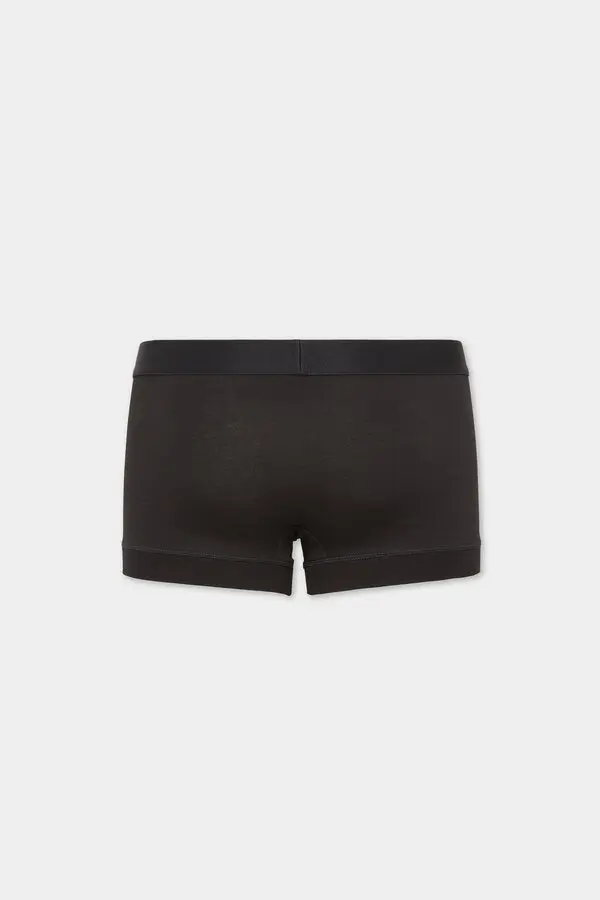 Dsquared2 Basic Trunk