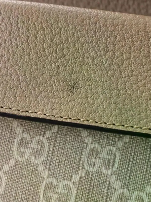 Gucci Dionysus Bag Gg Coated Canvas With Leather Small Shoulder Bag
