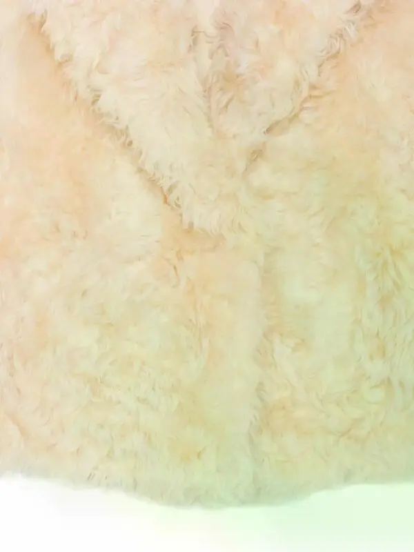 BLANCHA Shearling Notch-lapel Jacket