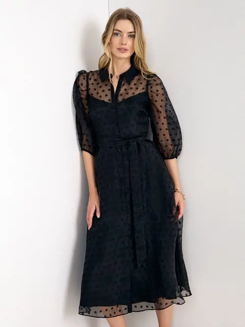 PHASE EIGHT Agatha Sheer Sleeve Belted Shirt Dress