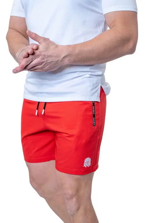MACEOO Lion Swim Shorts