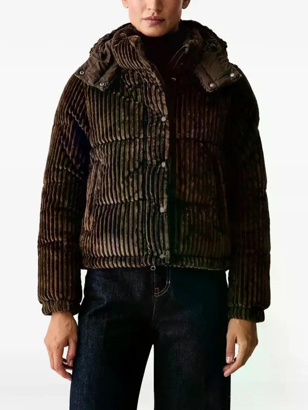 SAVE THE DUCK Nadege Padded Jacket - Brown