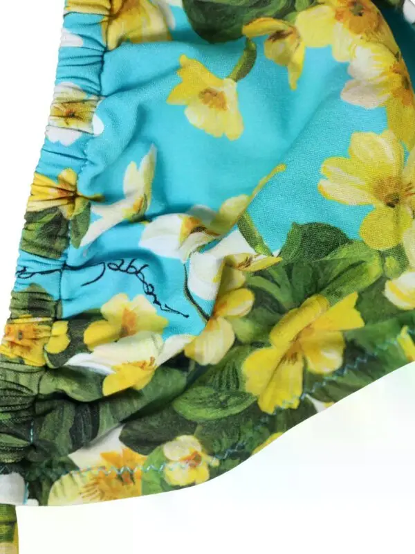 Dolce & Gabbana Floral-print Halterneck Bikini Top