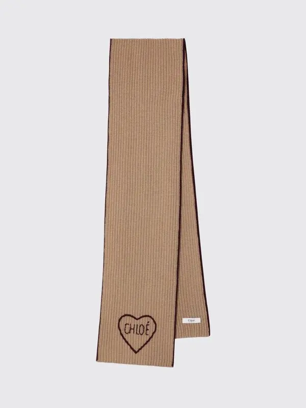 Chloé Scarf In Wool And Cashmere Blend With Contrast Logo - Brown
