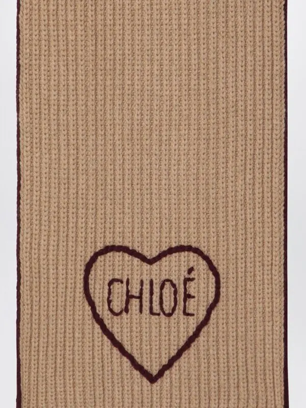 Chloé Scarf In Wool And Cashmere Blend With Contrast Logo - Brown