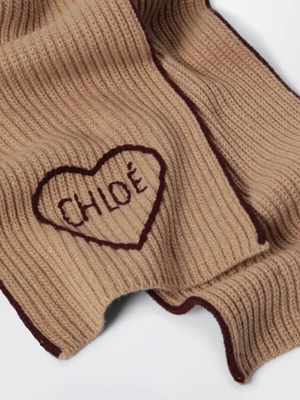 Chloé Scarf In Wool And Cashmere Blend With Contrast Logo - Brown