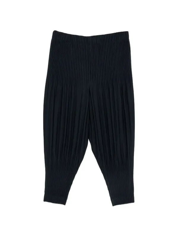 Issey Miyake Pleated Trousers