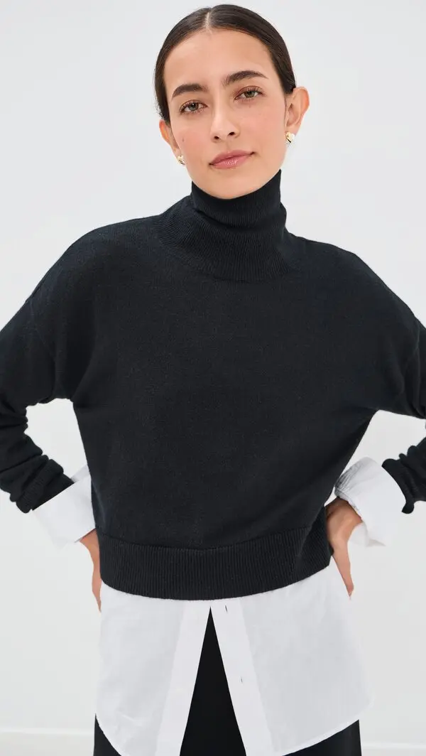 Sablyn Sable Turtleneck Cashmere Sweater