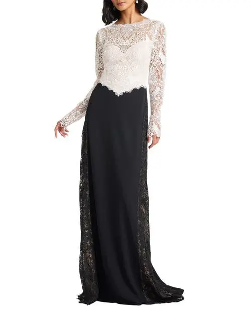 Tadashi Shoji Vianne Lace Illusion Gown