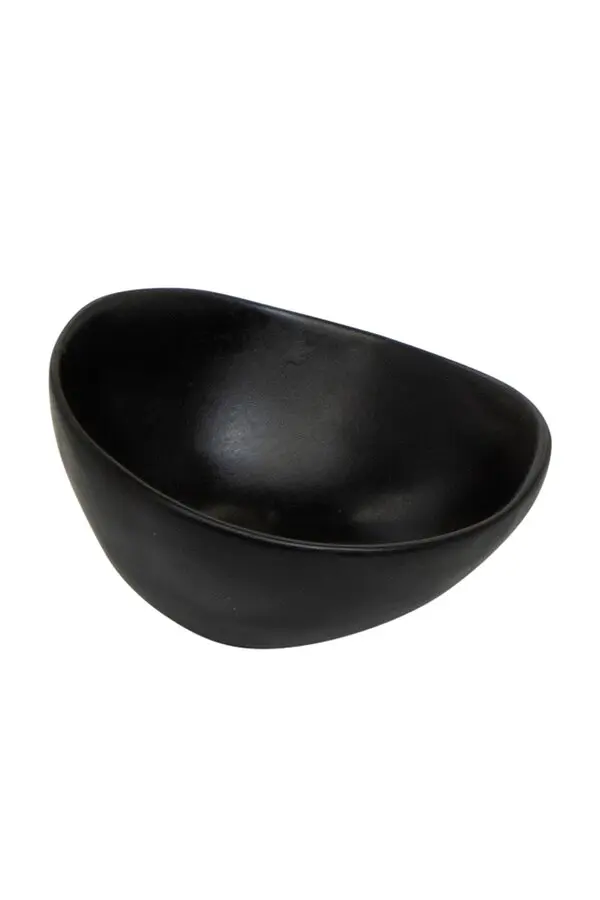 Dinosaur Designs Flow Spice Dish - Black
