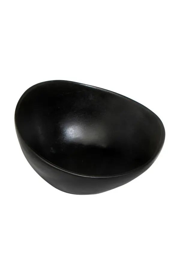 Dinosaur Designs Flow Spice Dish