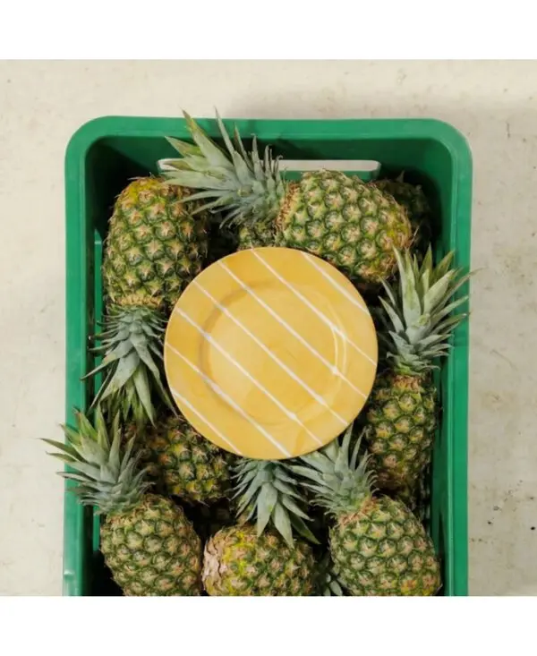 VALSA Dinner Plate Set Of 4 - Pineapple