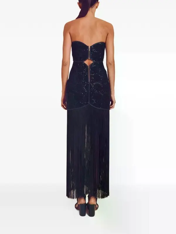 Azulu Sequin-embellished Fringed Maxi Dress