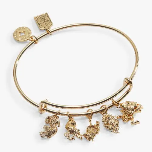ALEX AND ANI A Court Of Thorns And Roses Book Covers Charm Bangle - Gold