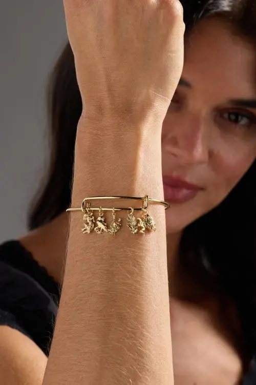 ALEX AND ANI A Court Of Thorns And Roses Book Covers Charm Bangle - Gold