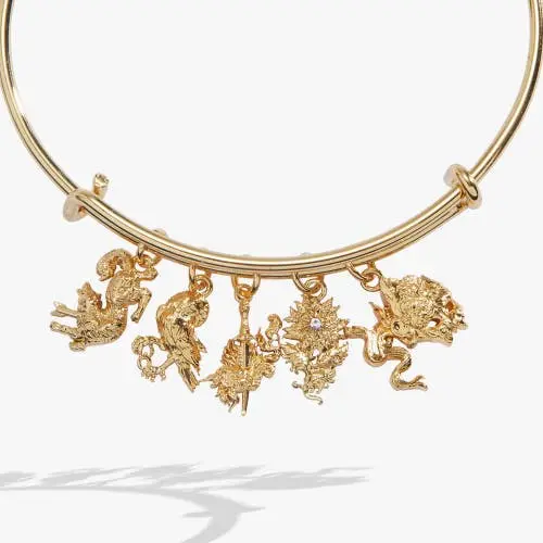 ALEX AND ANI A Court Of Thorns And Roses Book Covers Charm Bangle - Gold