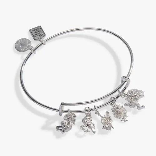 ALEX AND ANI A Court Of Thorns And Roses Book Covers Charm Bangle - Silver