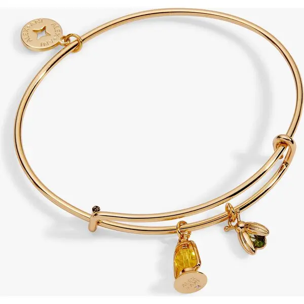 ALEX AND ANI Firefly Lantern Charm Bangle