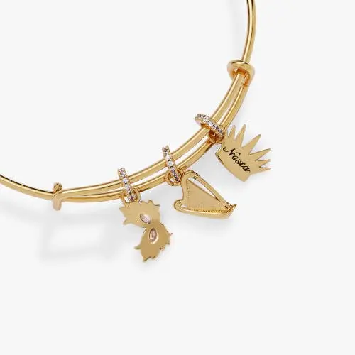 ALEX AND ANI A Court Of Thorns And Roses Dread Trove Charm Bangle