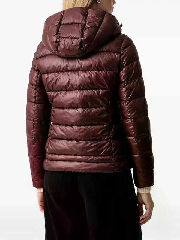 BLAUER. Caroll Hooded Quilted Jacket