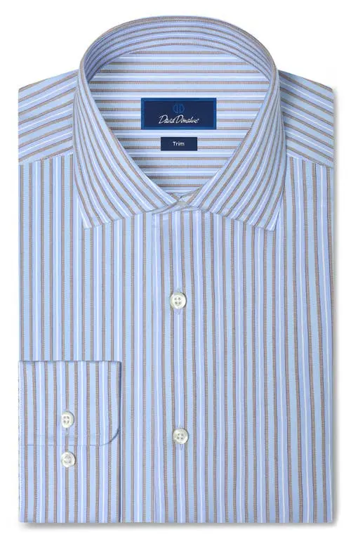 David Donahue Trim Fit Stripe Cotton Dobby Dress Shirt - Sky/dune